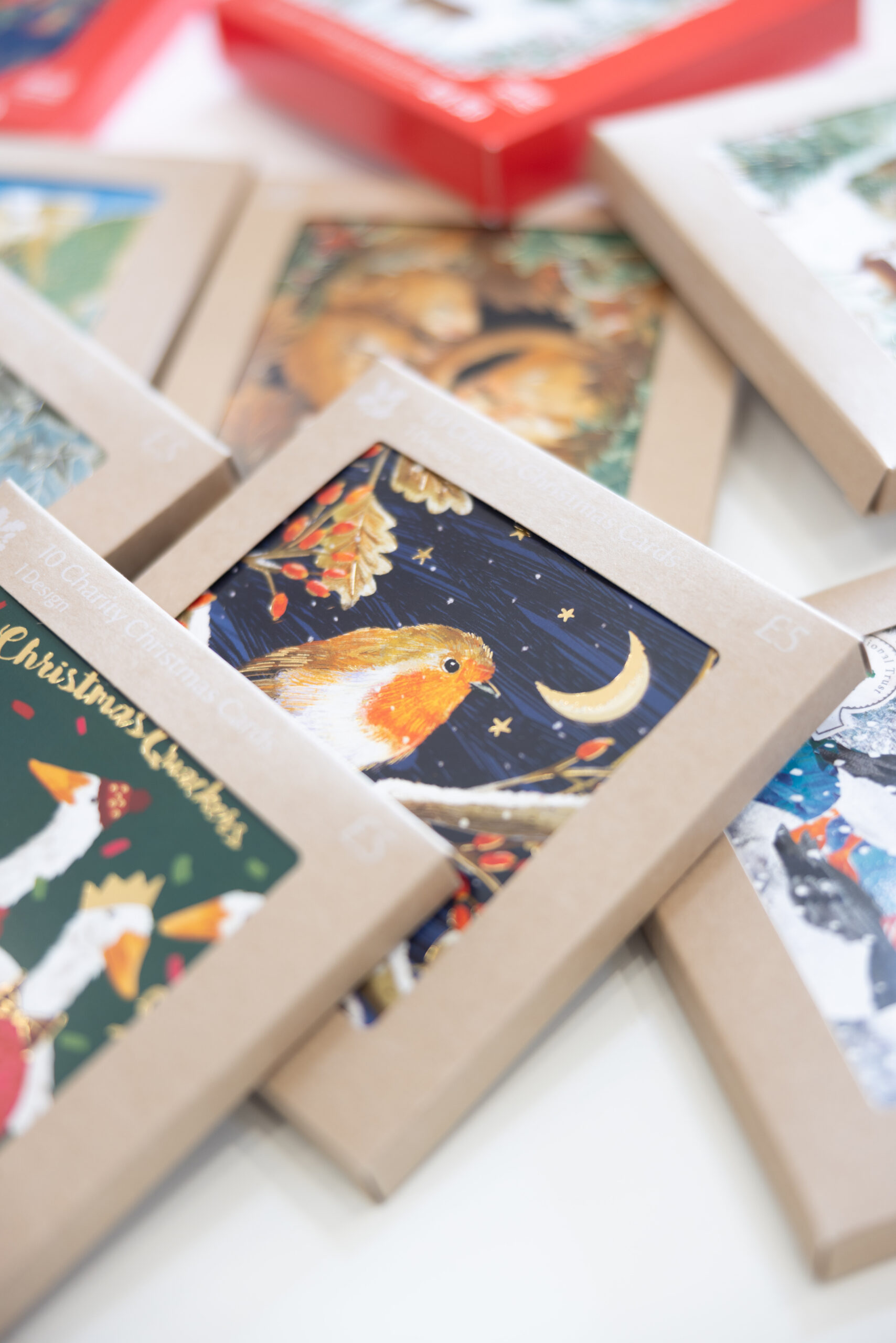Home - Paper Dove Co